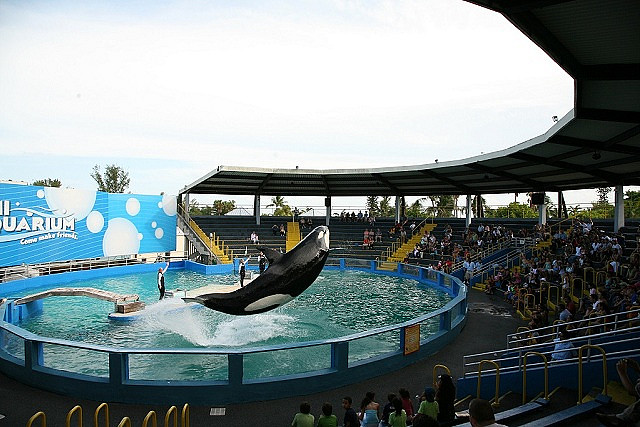 Florida’s Incredible Array of Theme Parks