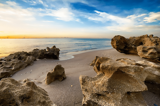 Bicoastal Florida for the Family