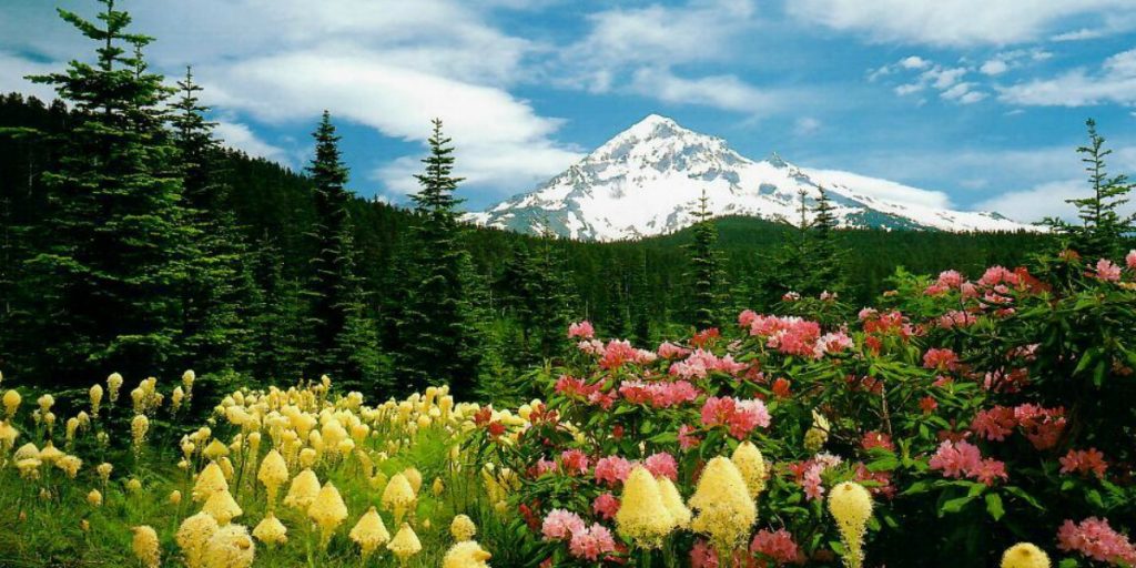 Beauty Everywhere: Postcards from Oregon | TravelSquire