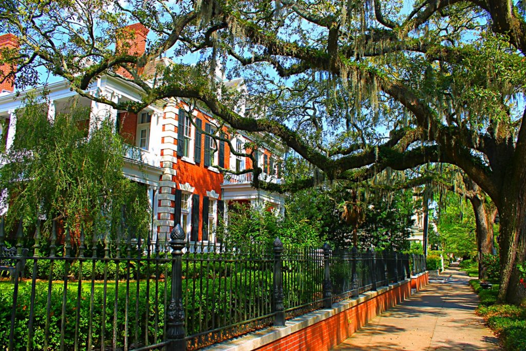 Ready for Its Close Up: Explore These Savannah Highlights | TravelSquire