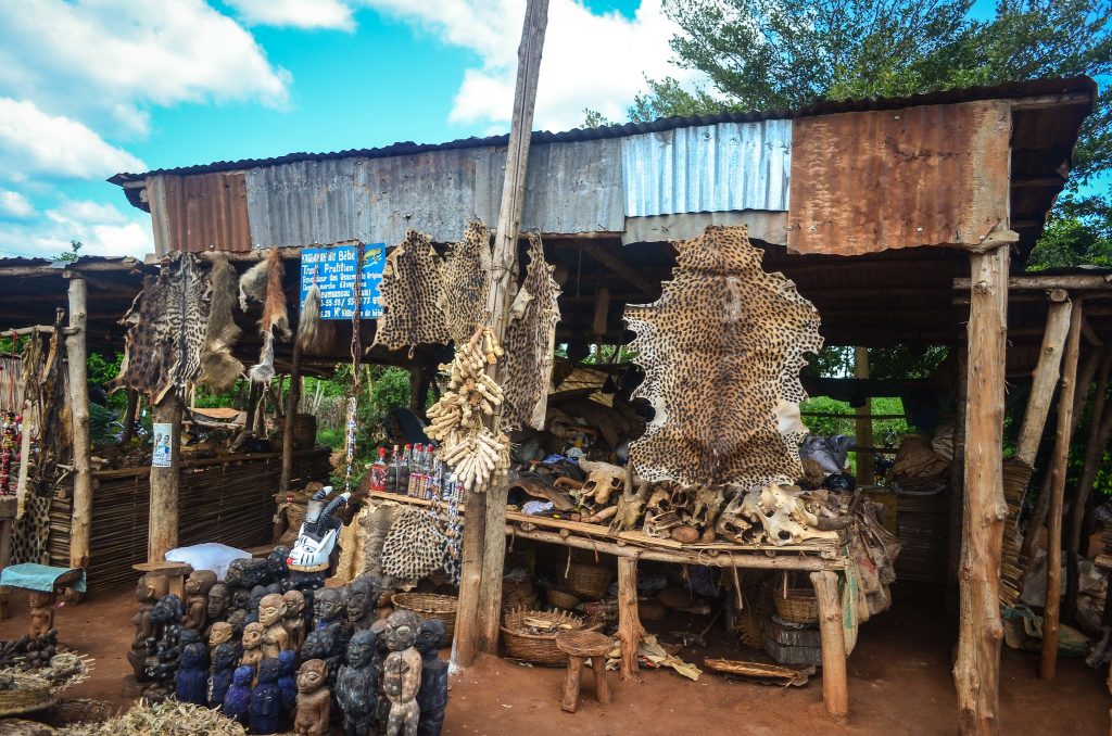 2020 Rising STars Benin Voodoo Market Flickr - Travel Squire