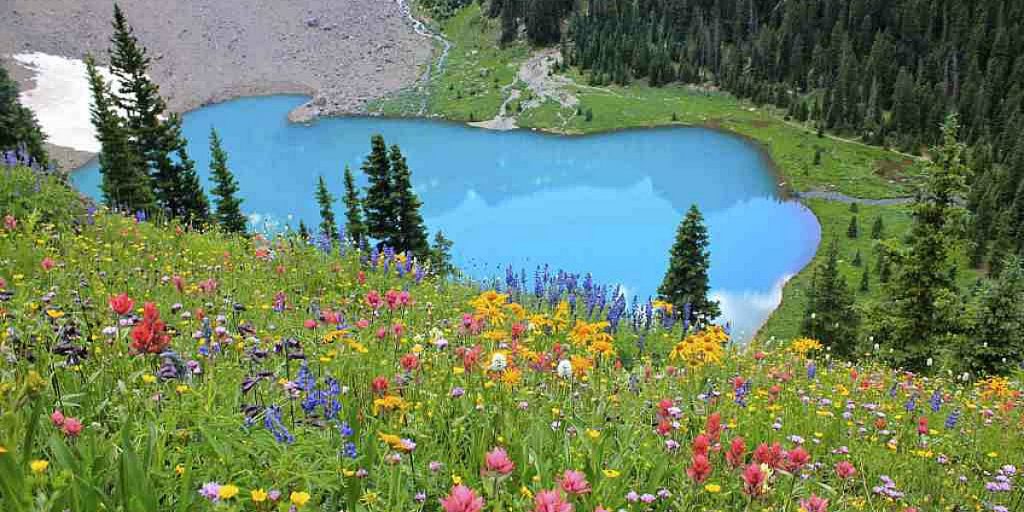 Photos of Spring: Flowers, Sunshine & Hikes - Travel Squire