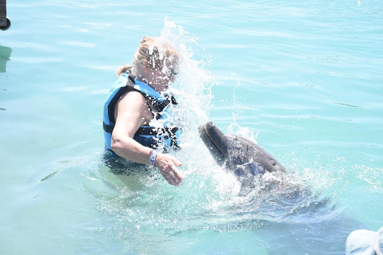 8- Getting Splashed at Dolphin Connection©Dolphin Connection - Travel ...