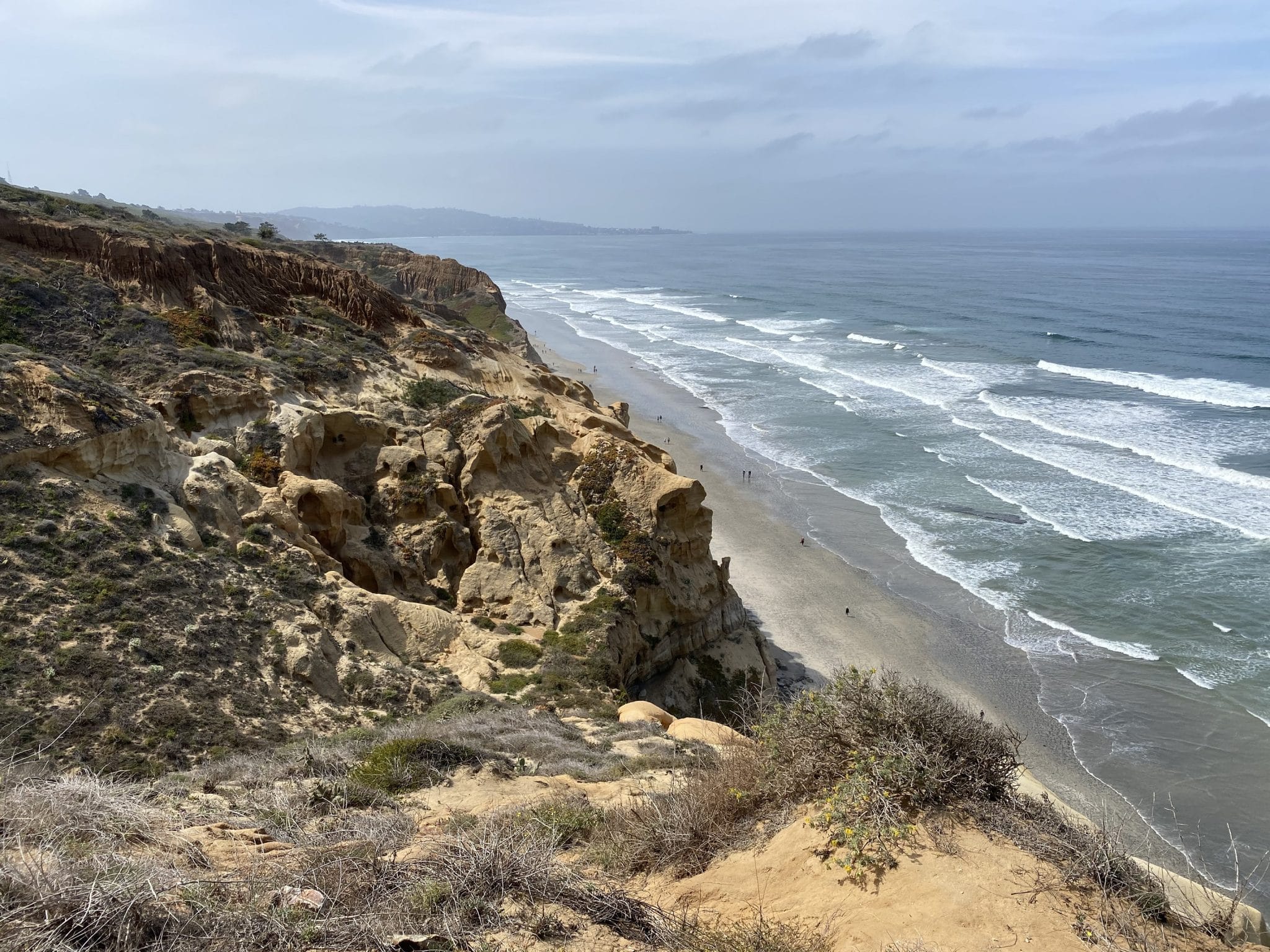 TS Torrey Pines Beach - Travel Squire
